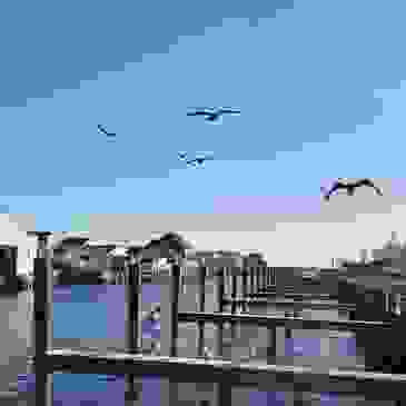 BayShore Marina - Marina, Boating, Marine Service