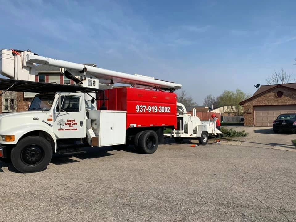 Expert Arbor Care - Tree Care, Trimming