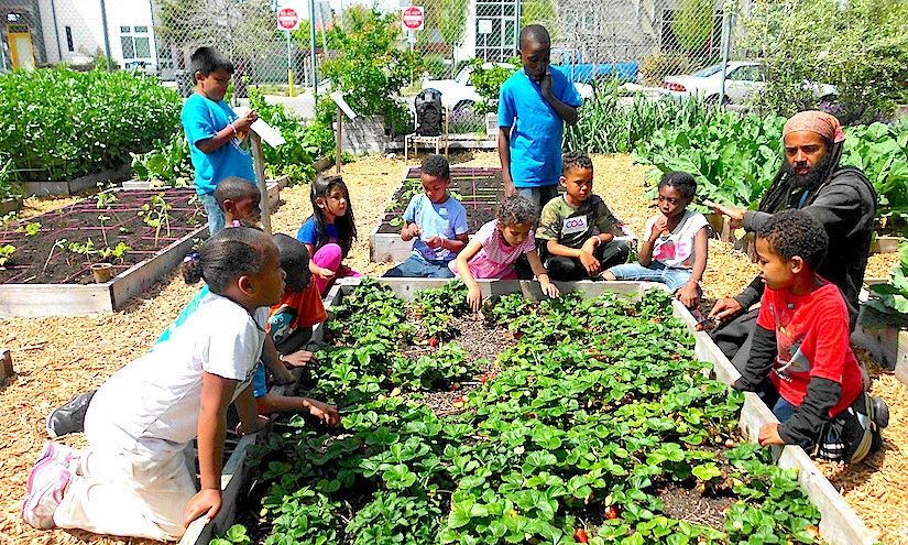 Expanding Equitable Access to the Outdoors and Camps for All