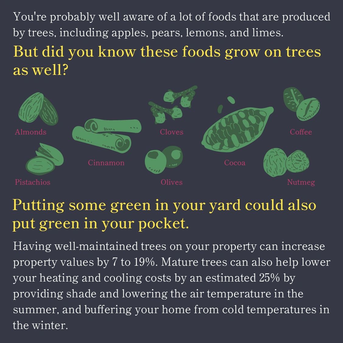 Celebrating Trees!