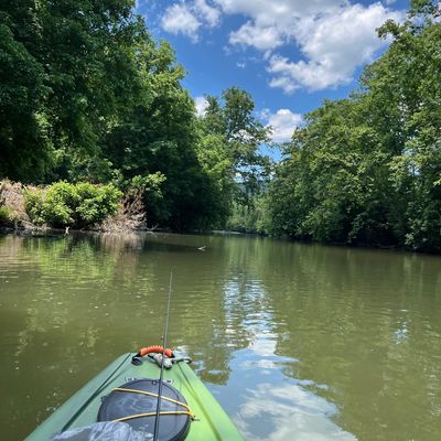 CLINCH RIVER ADVENTURES