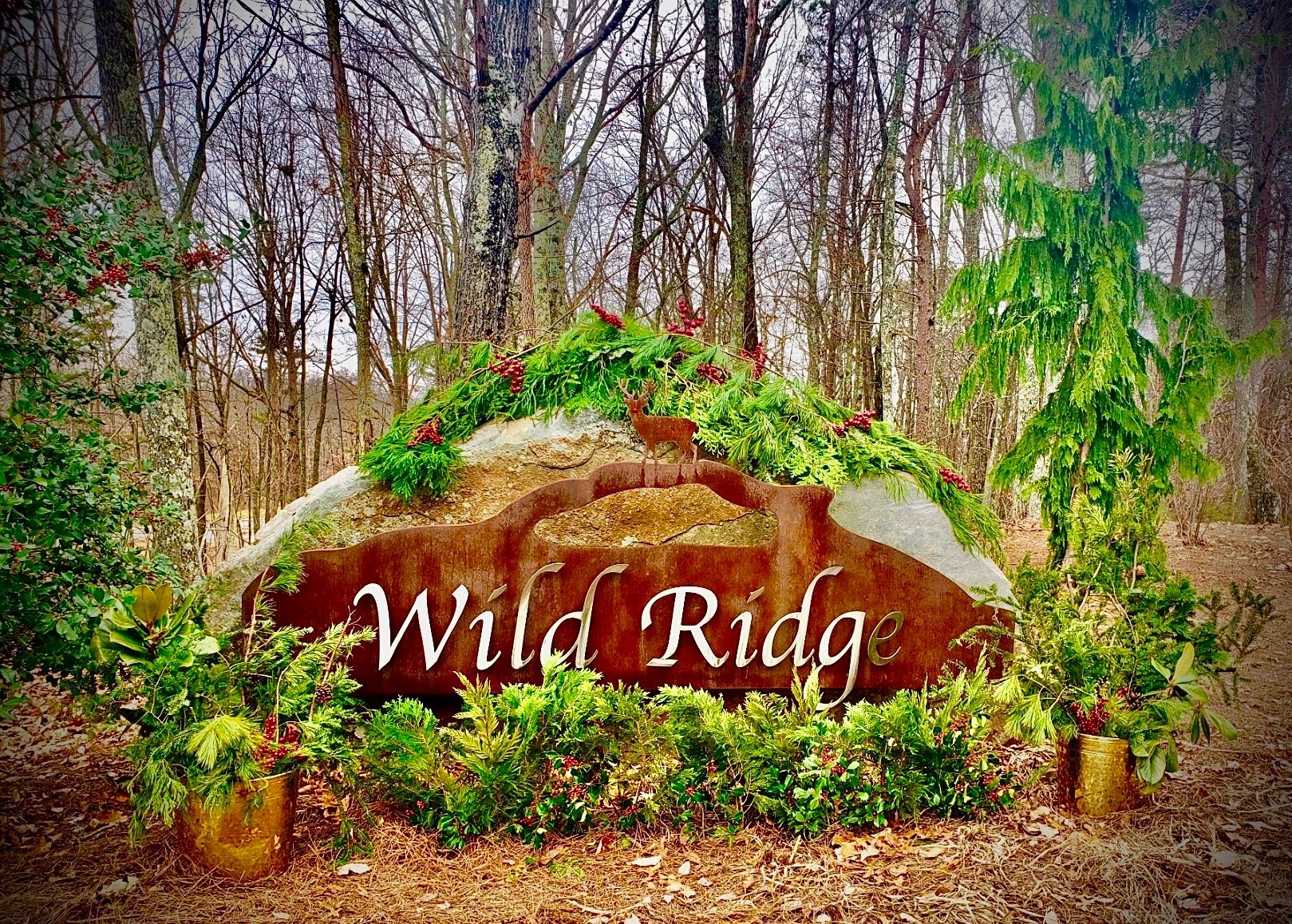 Wild Ridge on Signal Mountain - New Homes, Signal Mountain