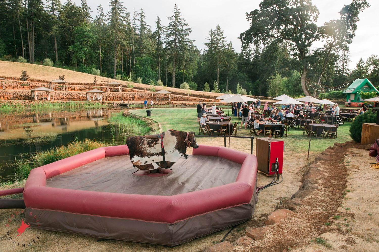 Mechanical Bull for Rent