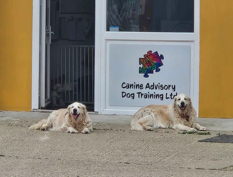 Multi Booking
