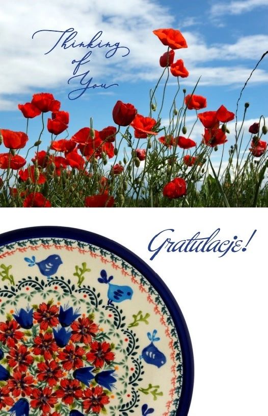 PHS Launches Card Project to Encourage People