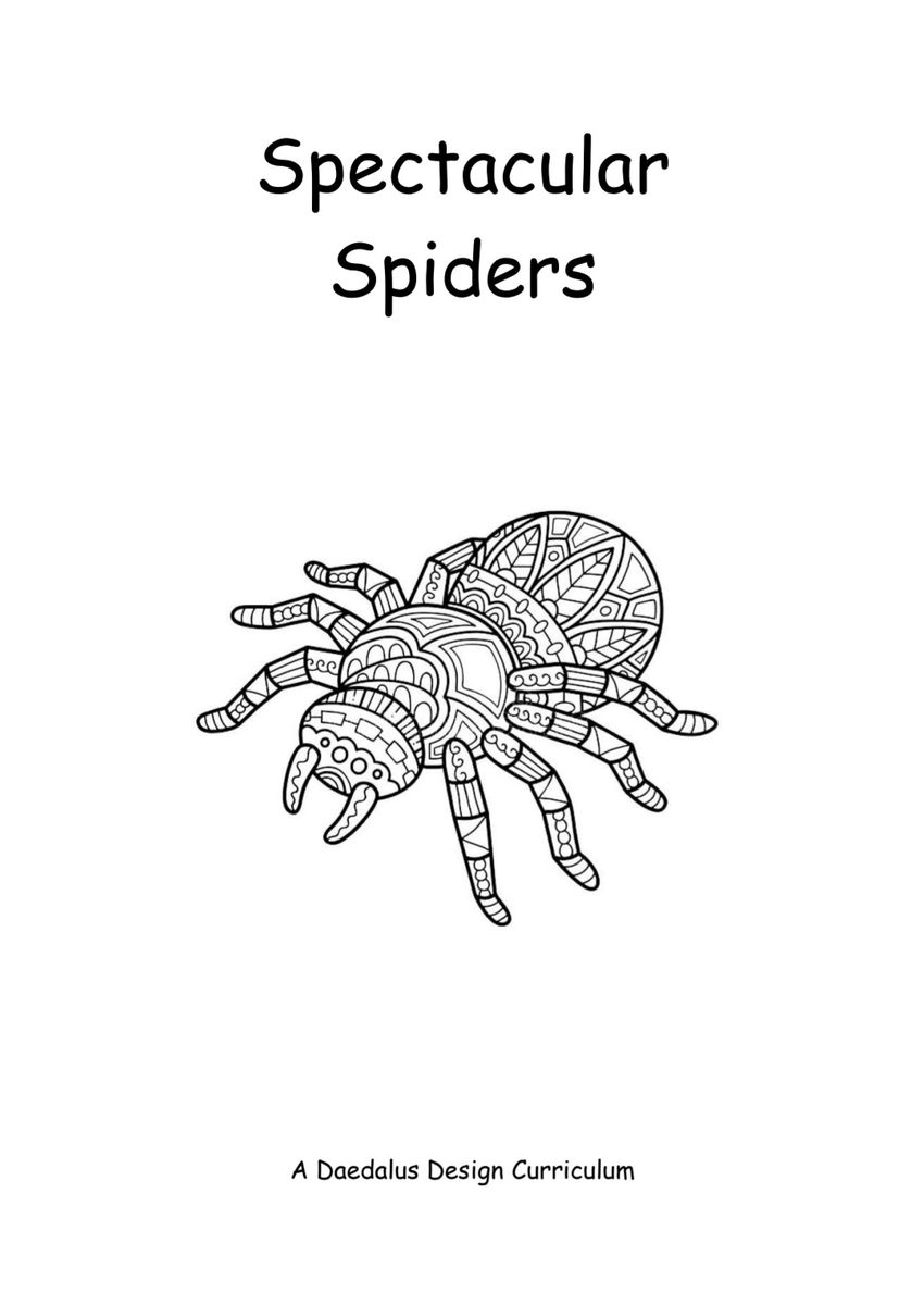 Spectacular Spiders Workbook