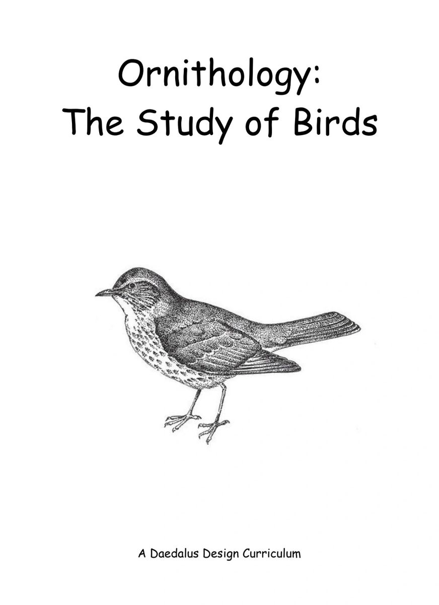 Ornithology: The Study of Birds