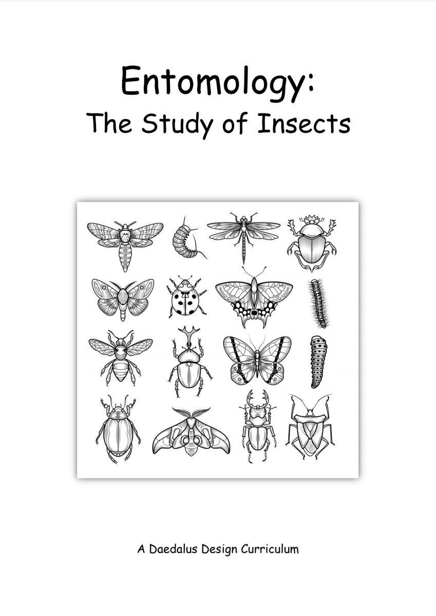 Entomology: The Study of Insects