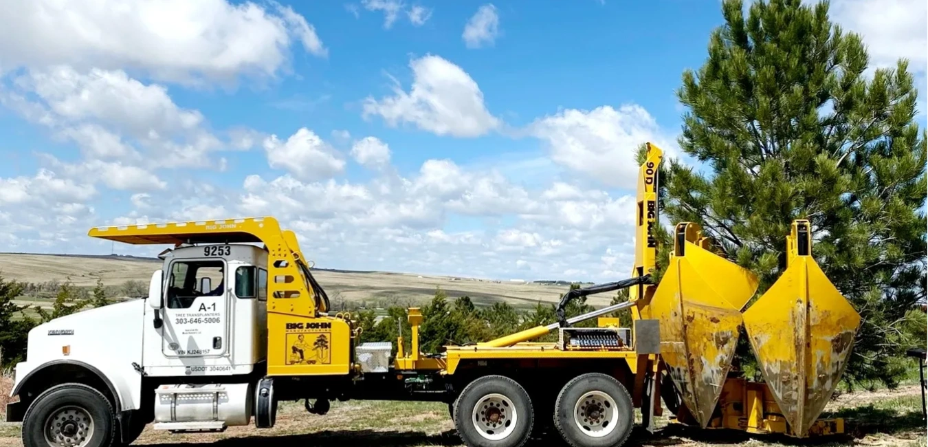 A1 Tree Transplanters - Trees Moving Services