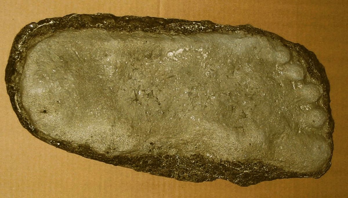 AUTHENTIC BIG FOOT CAST REPLICA 1967 Bluff Creek CA - Roger Patterson ...