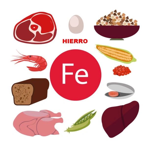 Alimentos ricos en hierro