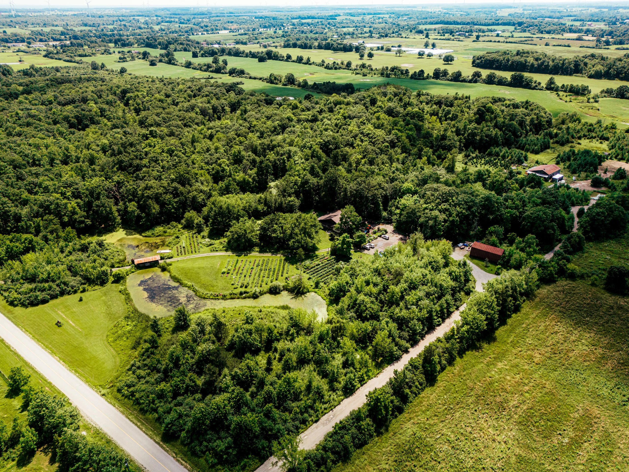 Windecker Woods Flower Farm