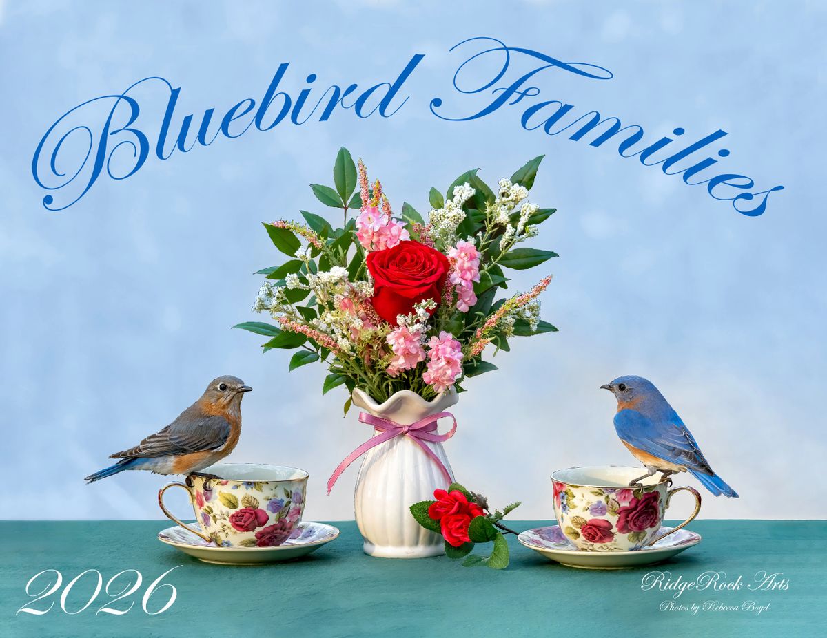2026 Bluebird Families Calendar