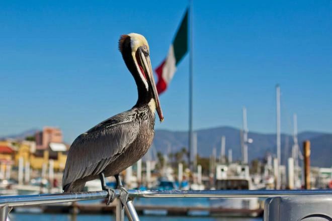 Ensenda, Baja California