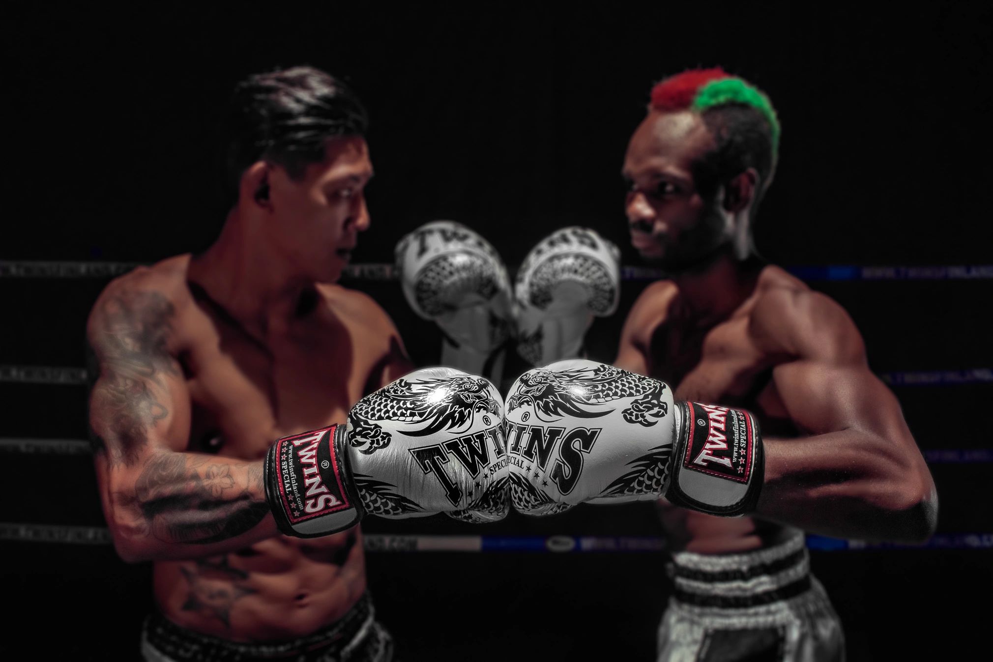 Twins Europe- Twins Special Fan Club | Twins Europe