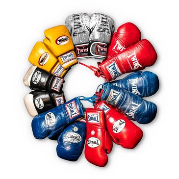 Twins Europe- Twins Special Fan Club