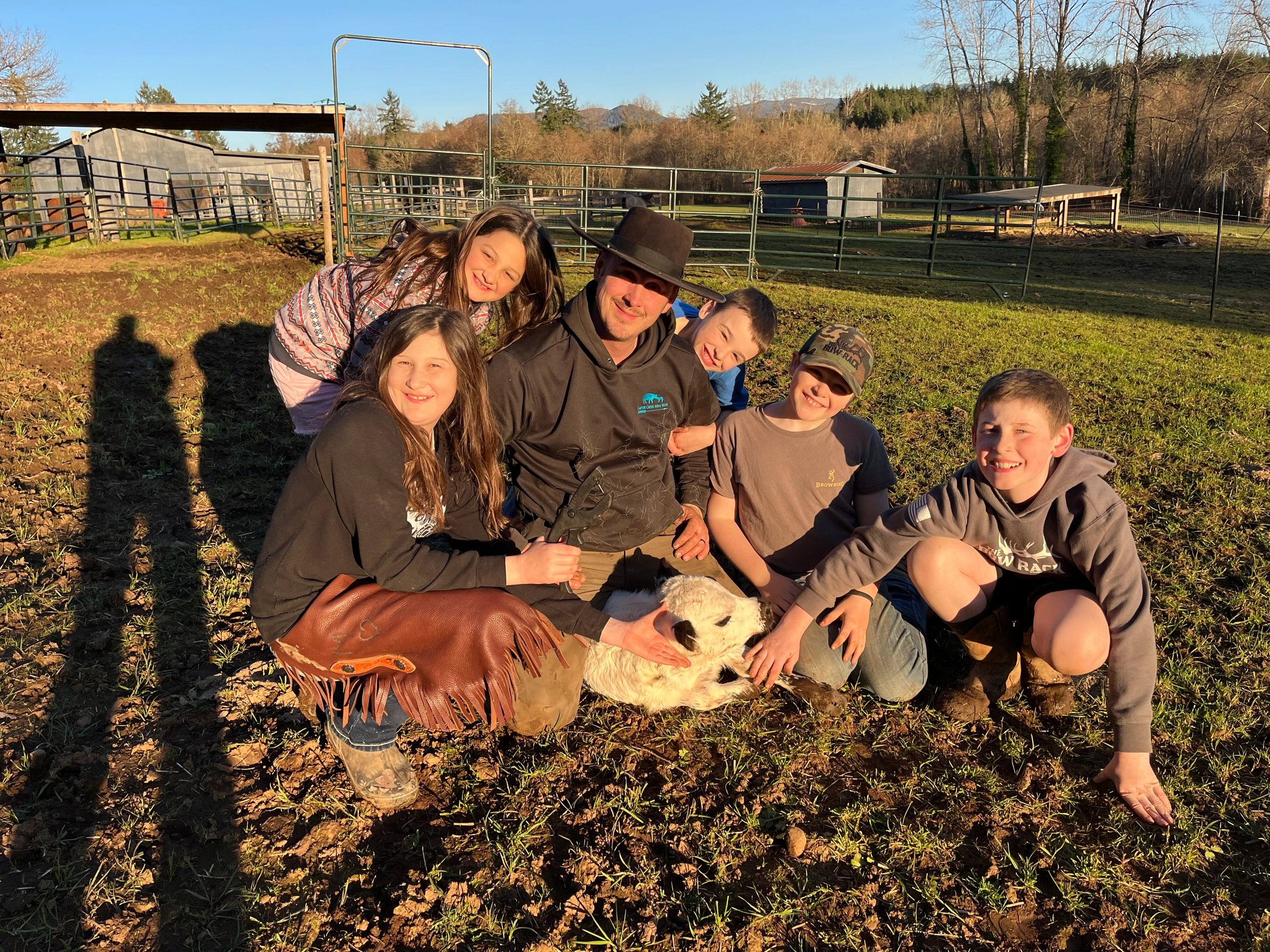 Carter Creek Mini Moos - Miniature Cows, Mini Cows, Mini Moo