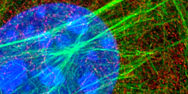 Micron - Fluorescence Microscopy, Super-Resolution