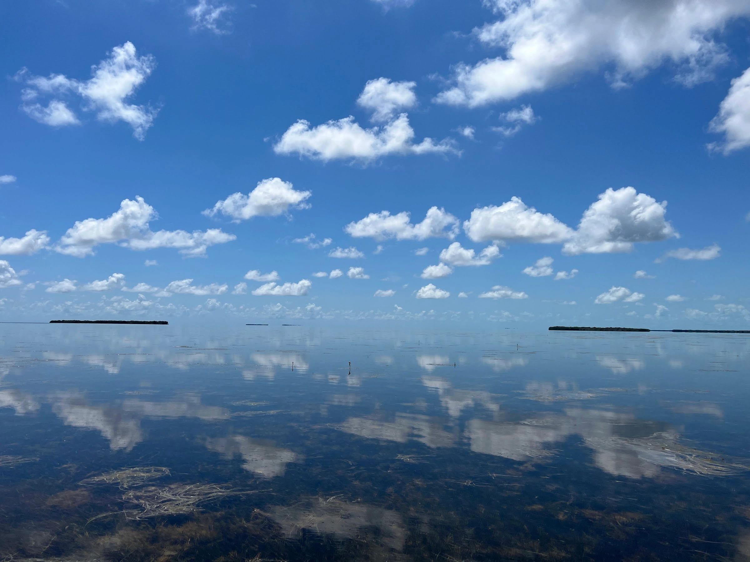 Navius Technologies, LLC