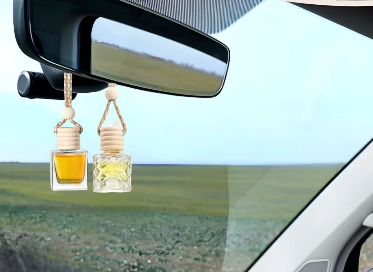 Car Air Fresheners | Hanging Diffuser | Car | Home