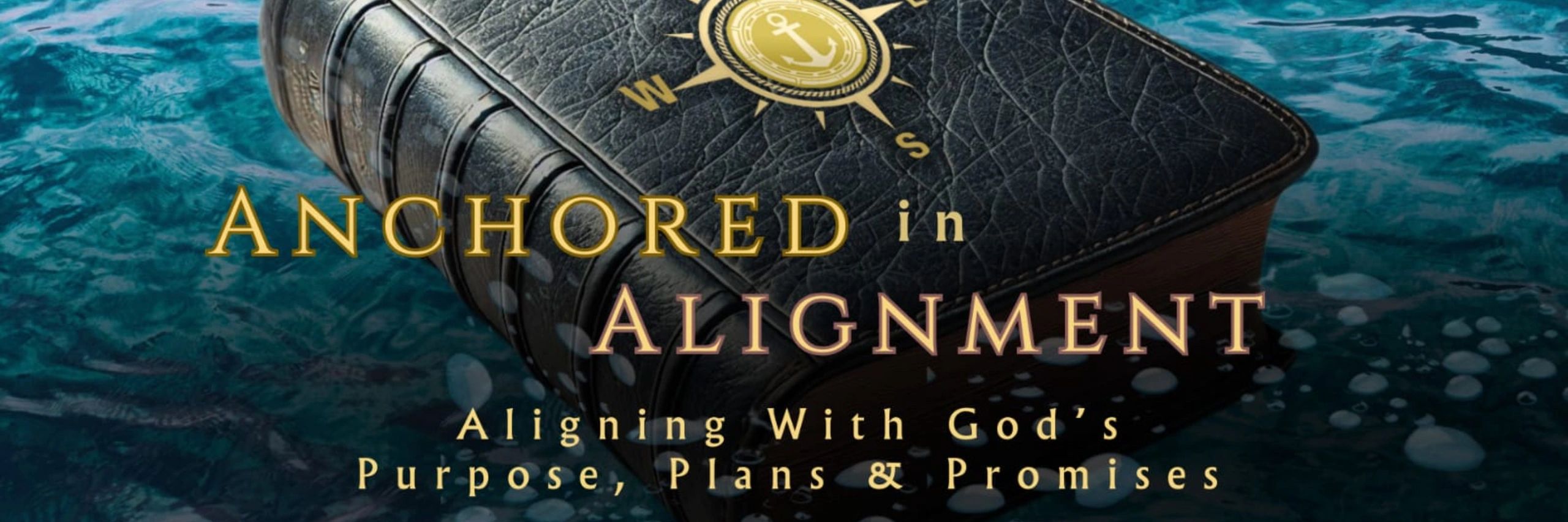 Home [alignmentprojectonline.com]