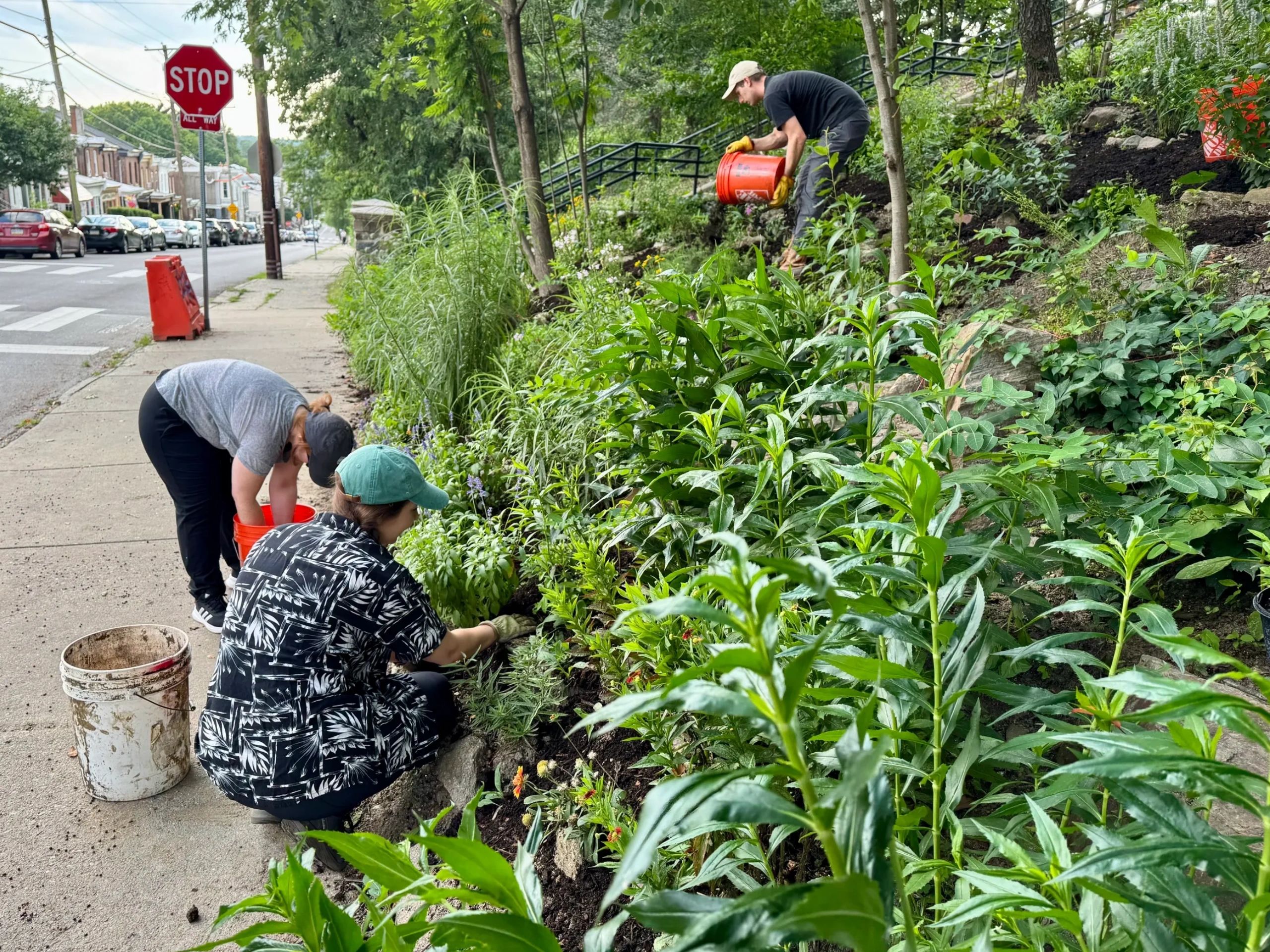 Roxborough Reservoir