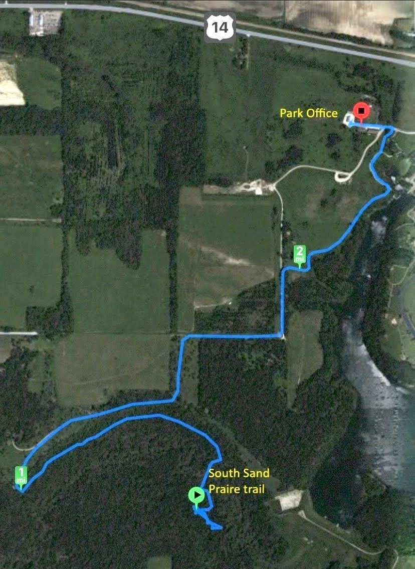 Wahoo! A Native tree at Chester Woods