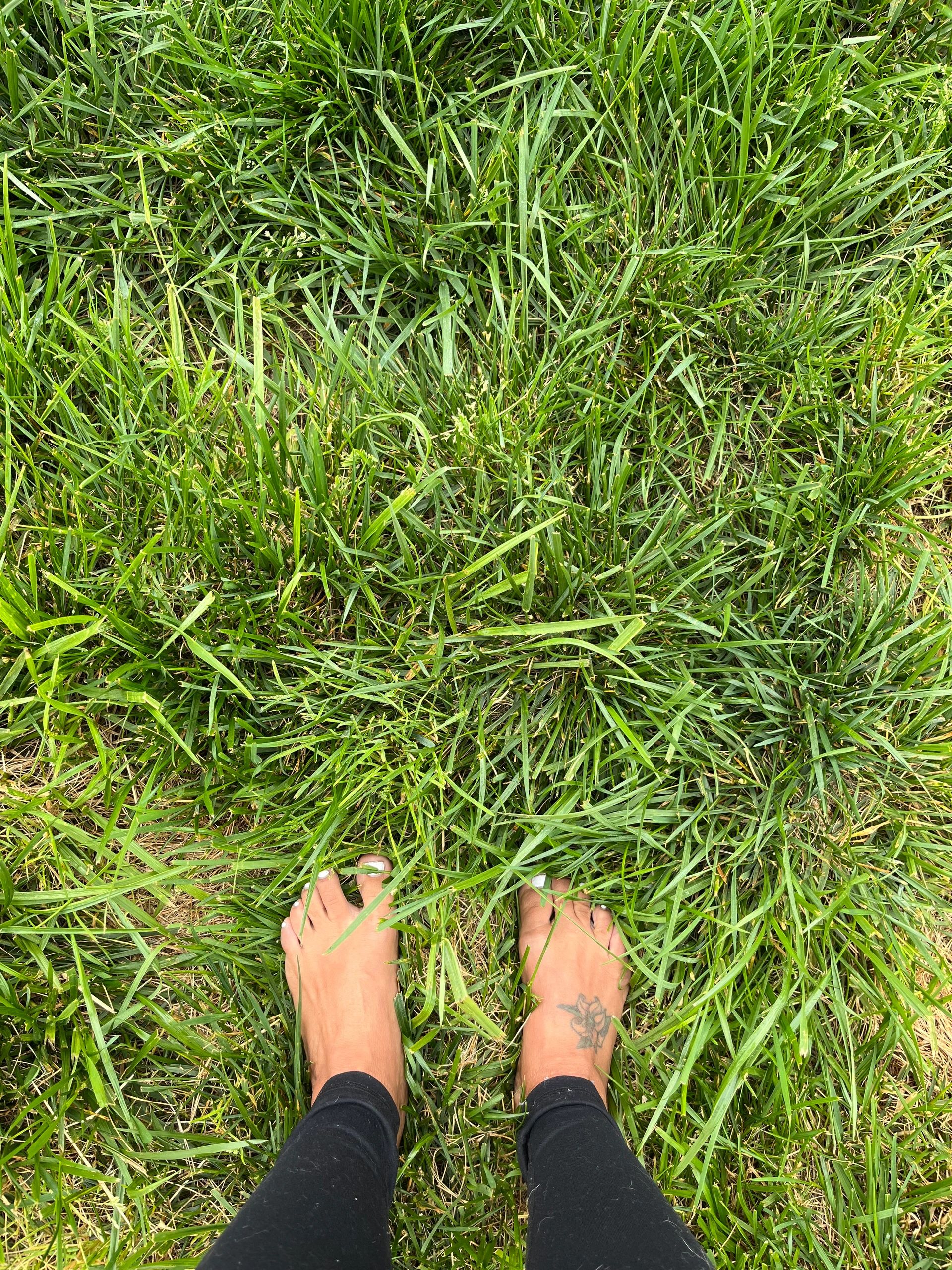 Earthing: How to get grounded