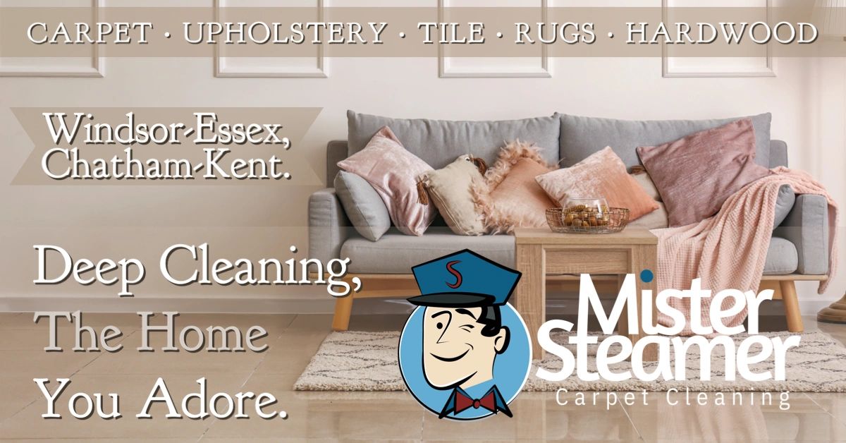 Steam Carpet Cleaner - Mister Steamer Carpet Cleaning