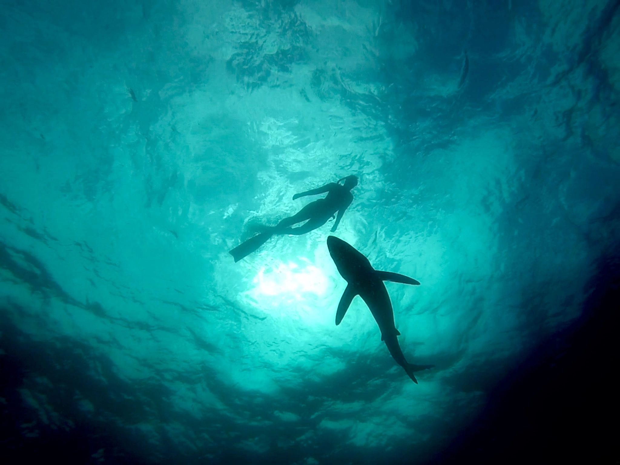 Celtic Deep Expeditions