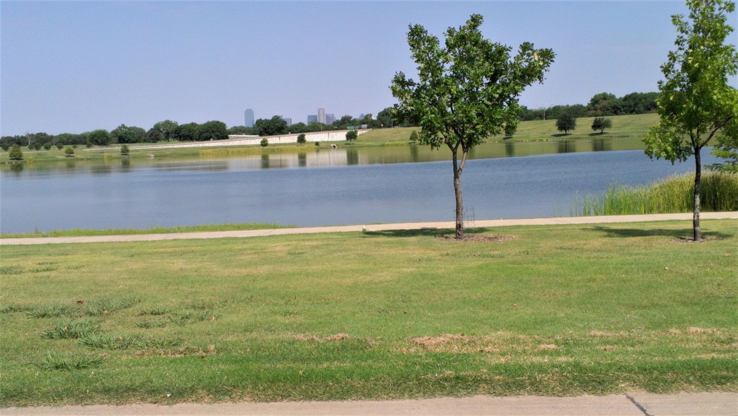 Revitalize South Dallas Coalition - Home