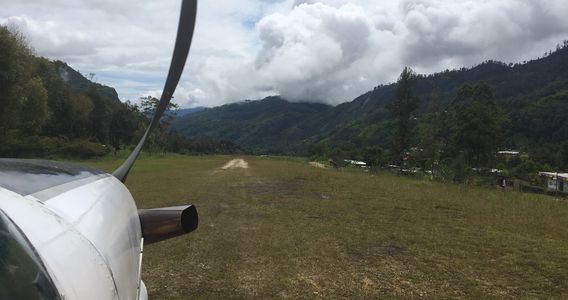 Huon Birding Camp - Birdwatching, Papua New Guinea