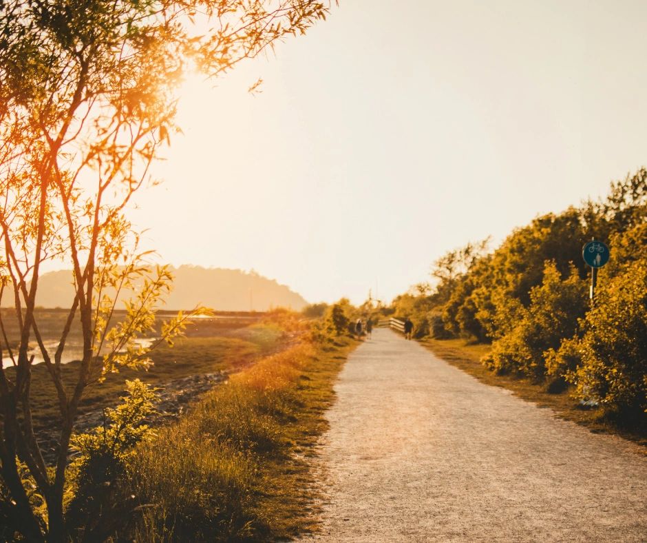 Navigating the Path to Recovery