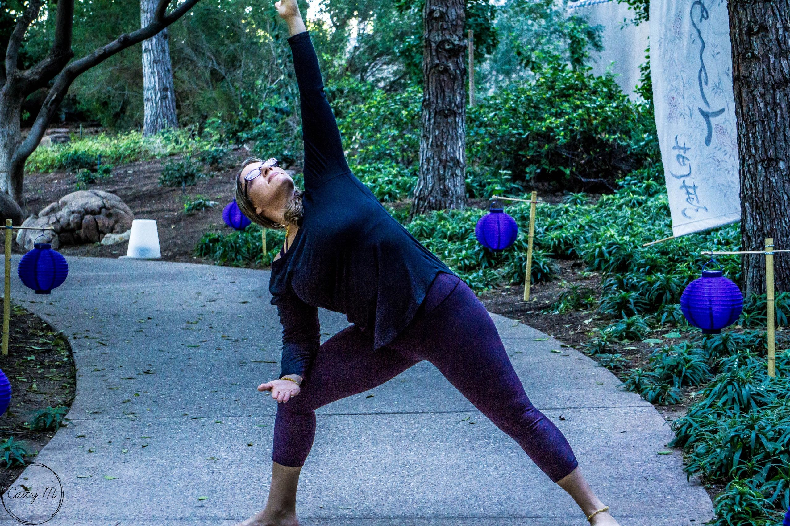 Nicole Anne Yoga & Holistic Wellness