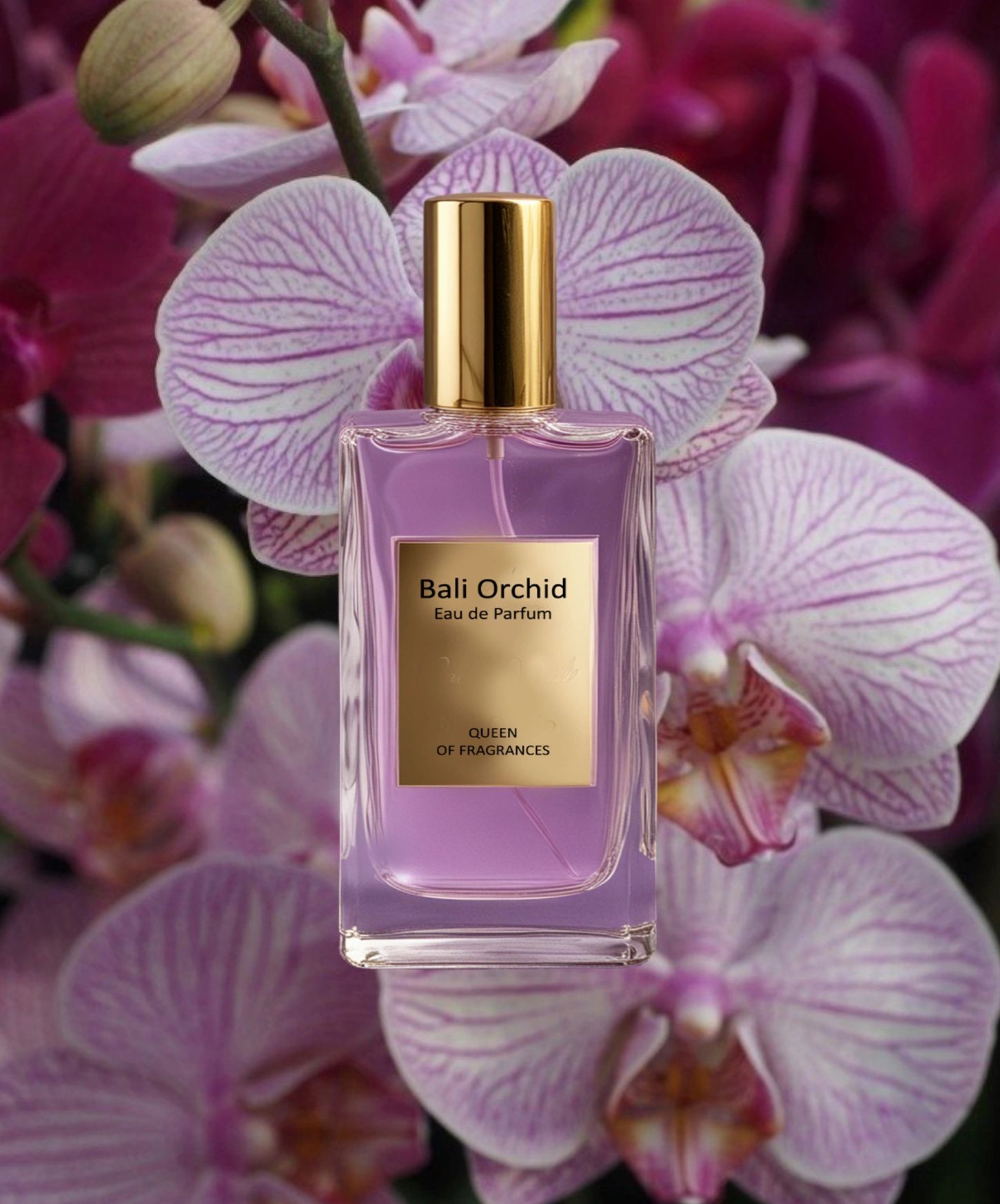Queen of Fragrances Brand | Official Luxury Perfume House
