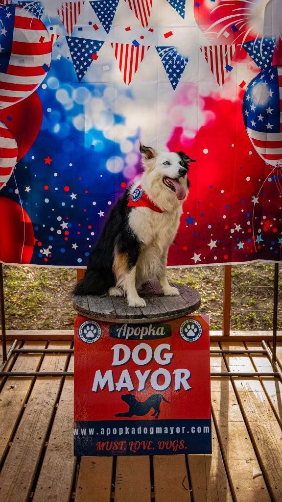Apopka Dog Mayor 2024