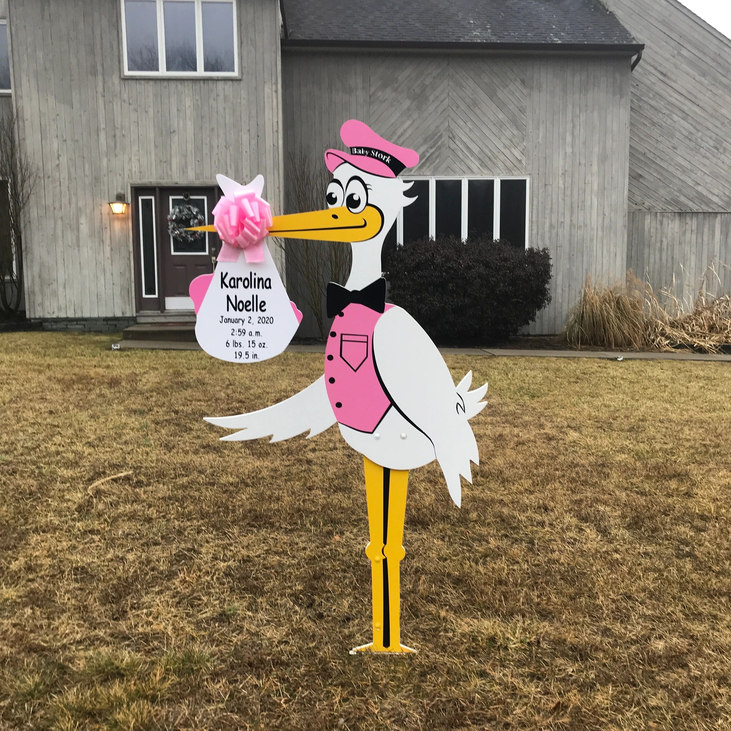 The Baby Stork Shop - Free Delivery, Baby Storks Rental in New Jersey ...