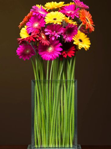 Vertical Vases