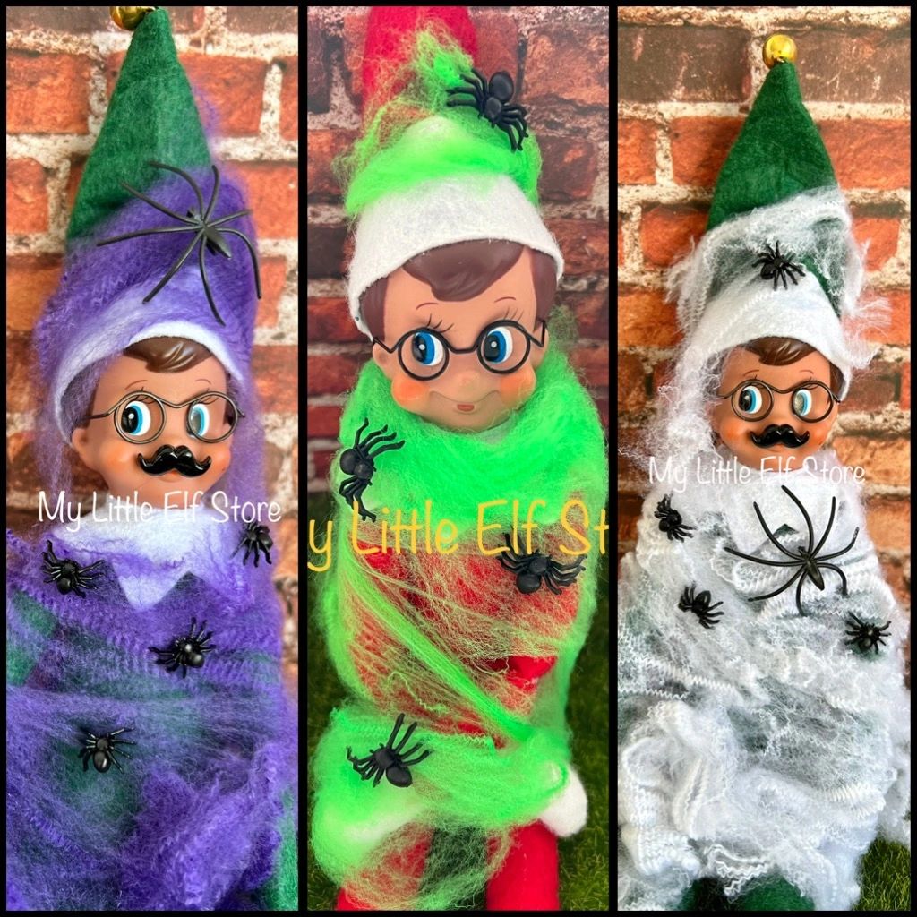 Spiders Webb with 5 Spiders