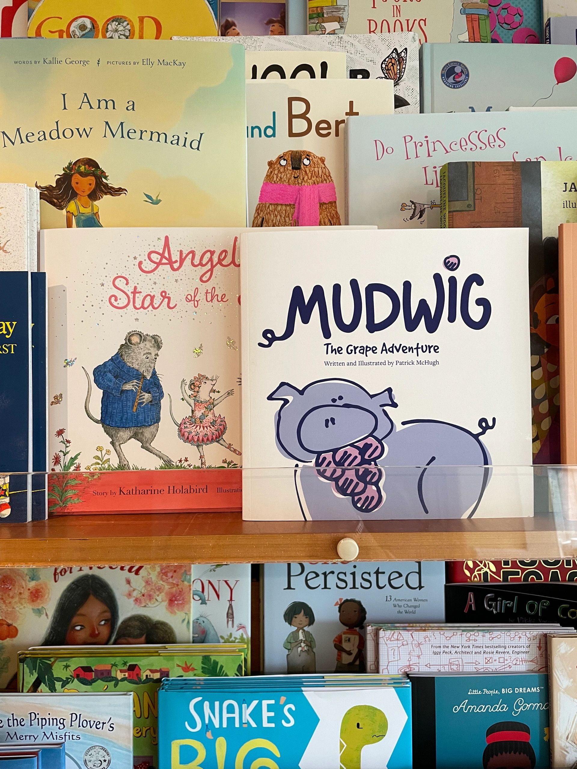 MUDWIG - Martha's Vineyard, Purple Pig, Children's Books
