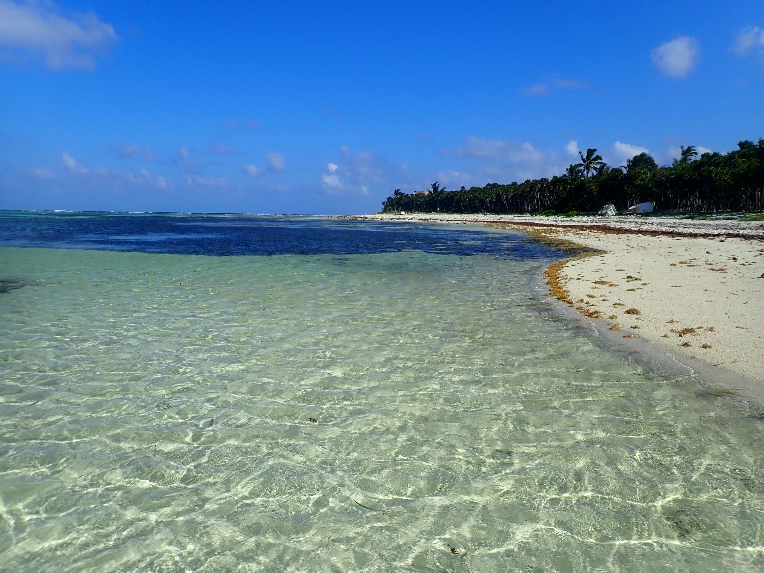 Comunidad de vecinos en pro de la biodiversidad en Bahía Soliman, Tulum