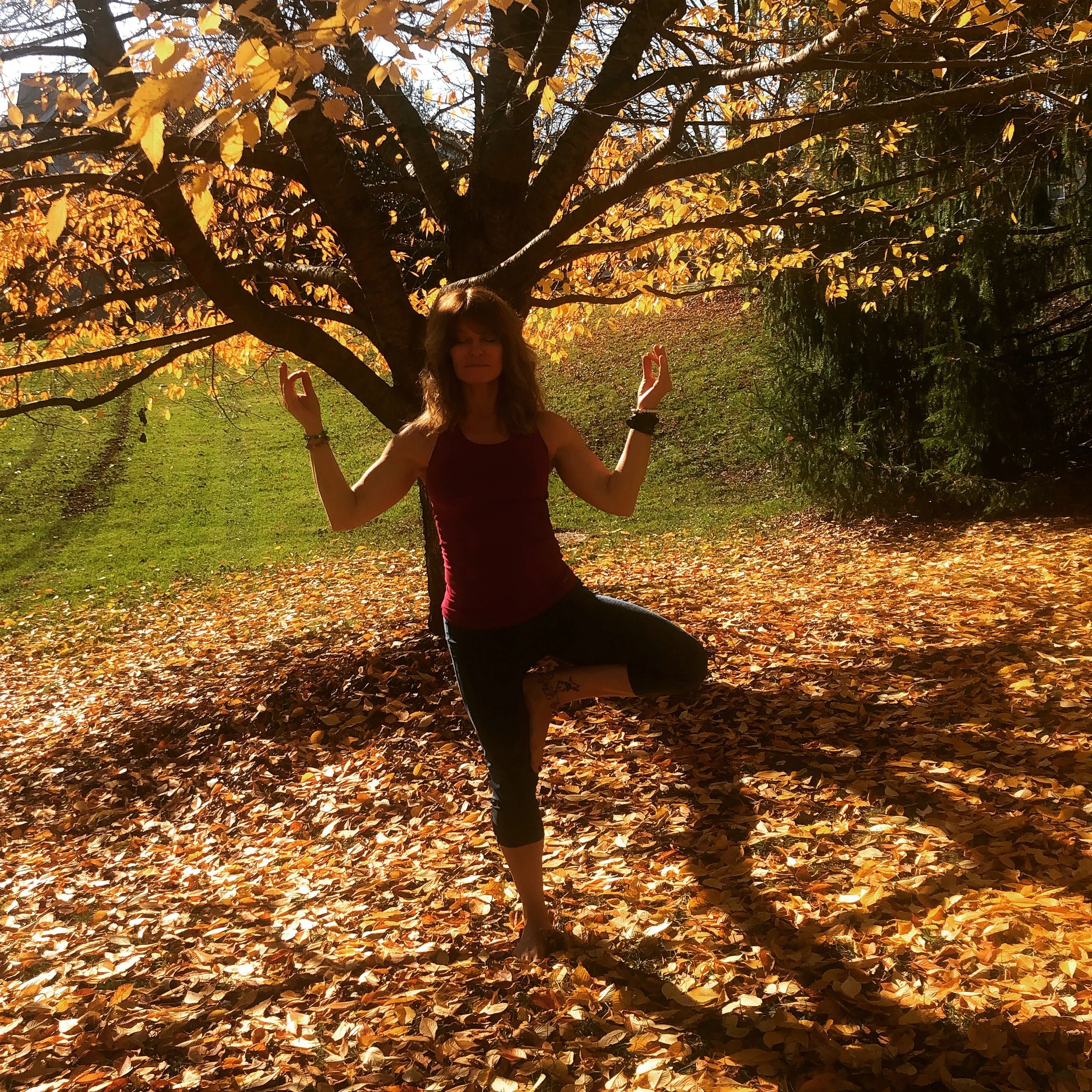 Transform Yoga - Yoga and Mediation, Health and Wellness