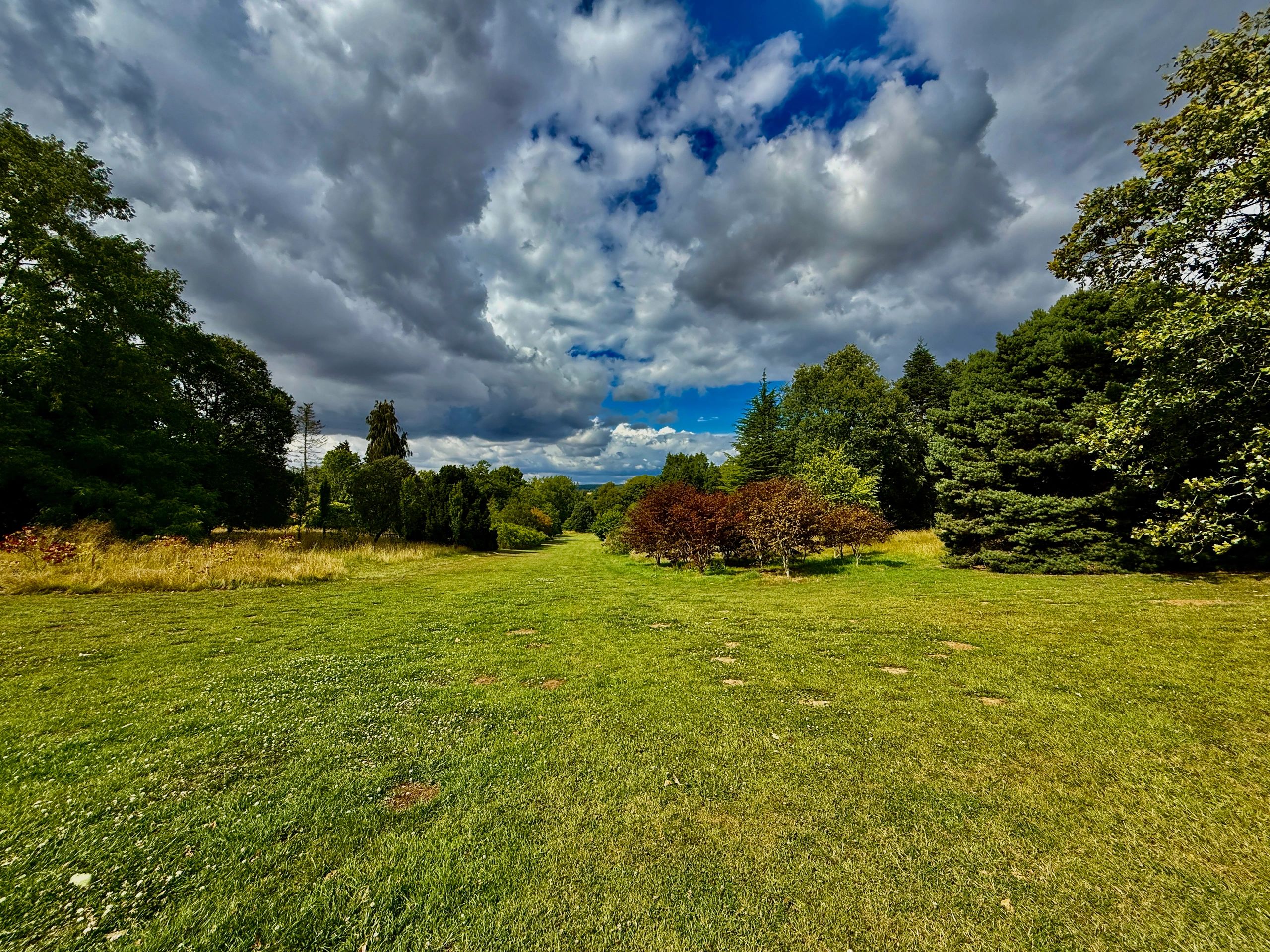 Dunton Family Photography Podcasts & IT Support Services