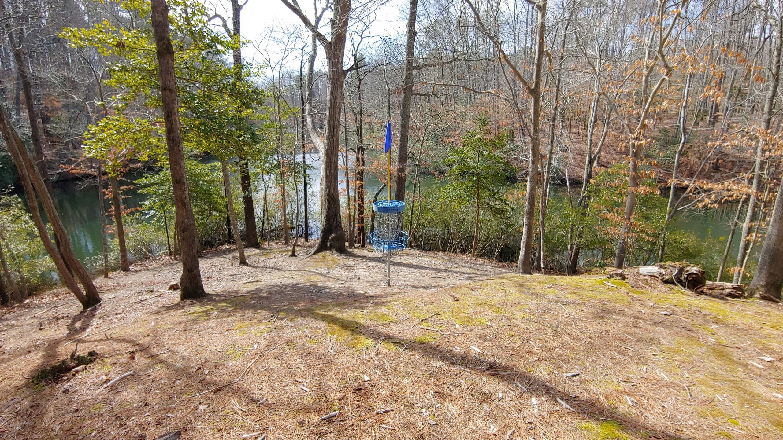 Grow and Throw VA - Disc Golf Discs, Disc Golf Beginners, Disc Golf