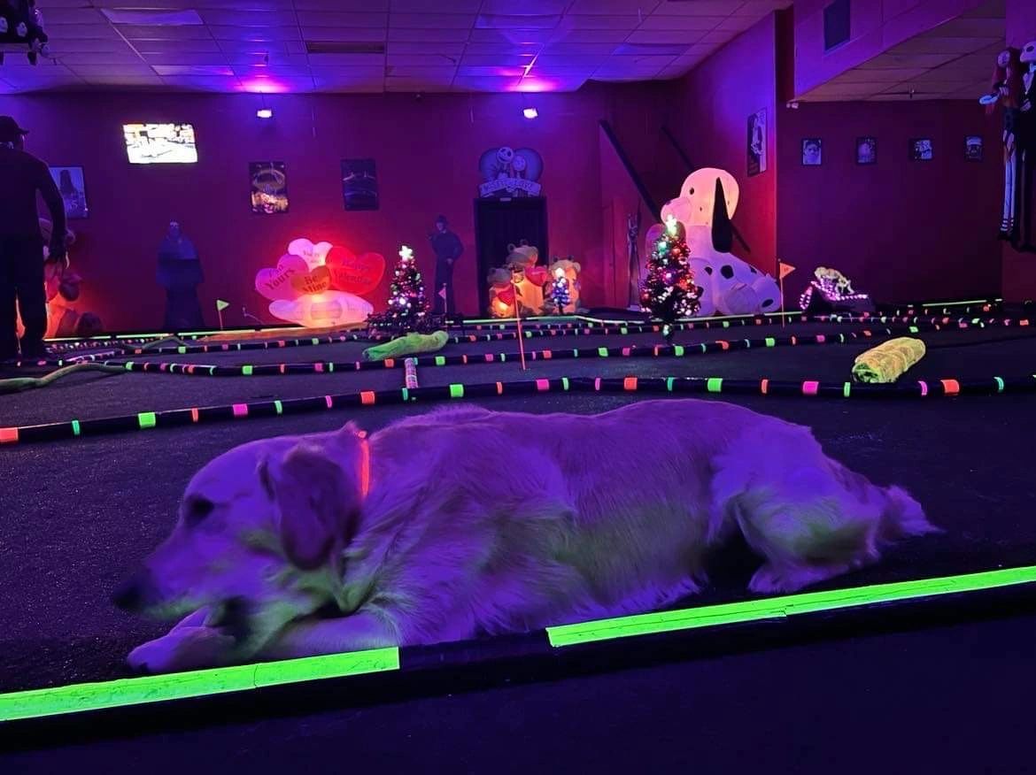 Aslyum Mini Golf & Arcade