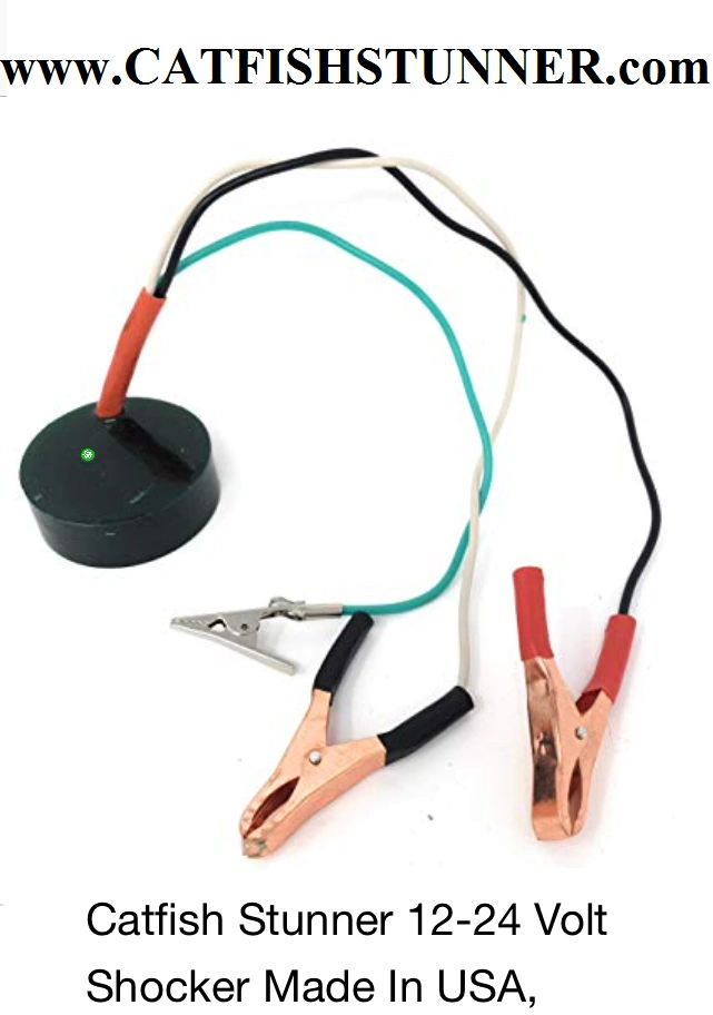 catfishstunner.com