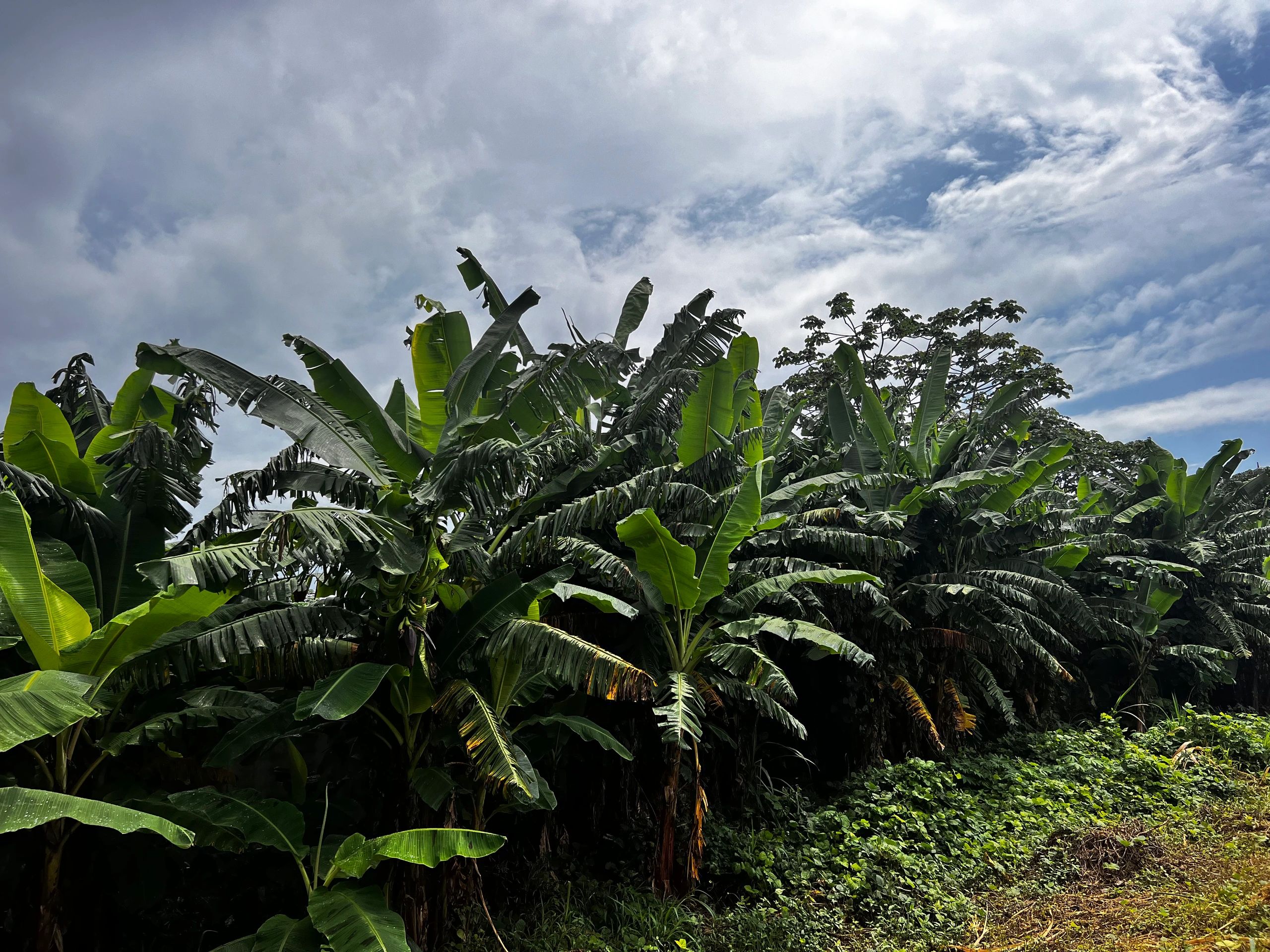 Home Page [malabomarathon.com]