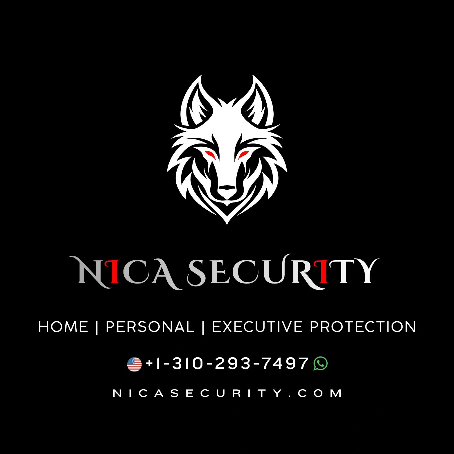 Nica Security