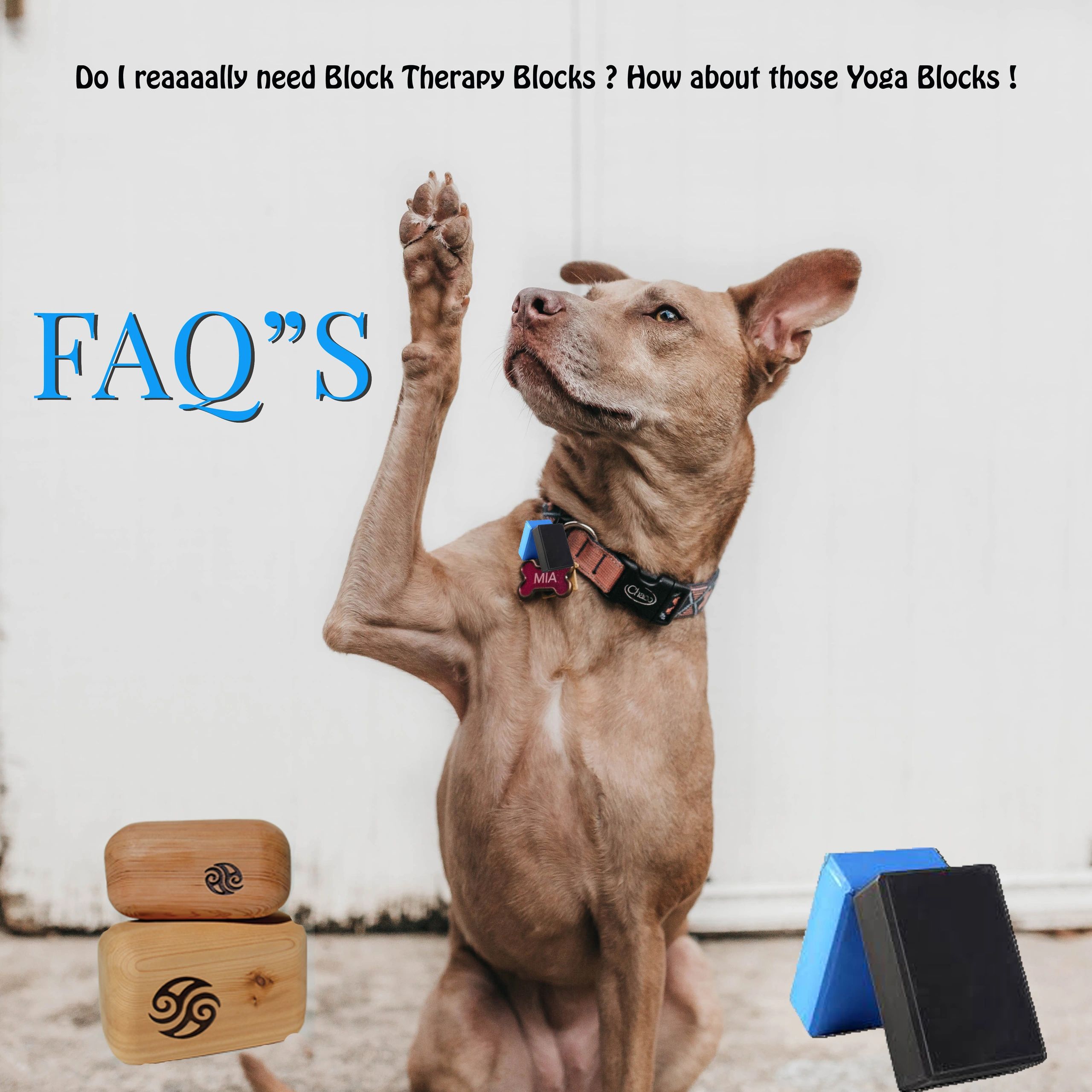 Yoga Block vs Block Therapy Block