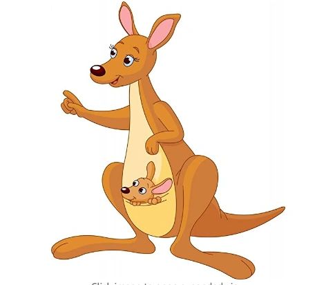 Kiddo Kangaroo